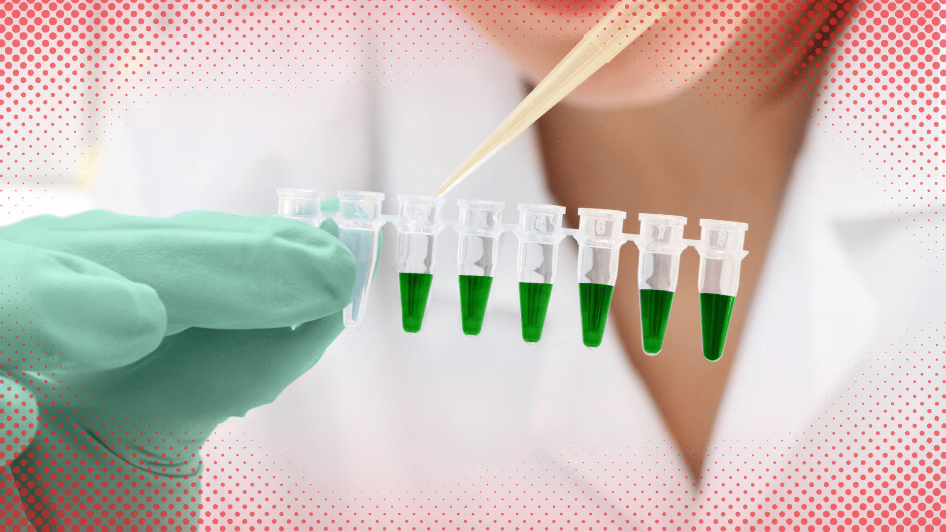Romain Guyon Awarded for Single-Dose Rabies Research